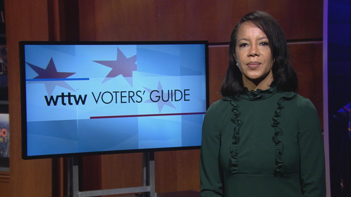Maya Hodari | 20th Ward Candidate for Alderman | 2019 Election Voters' Guide | WTTW